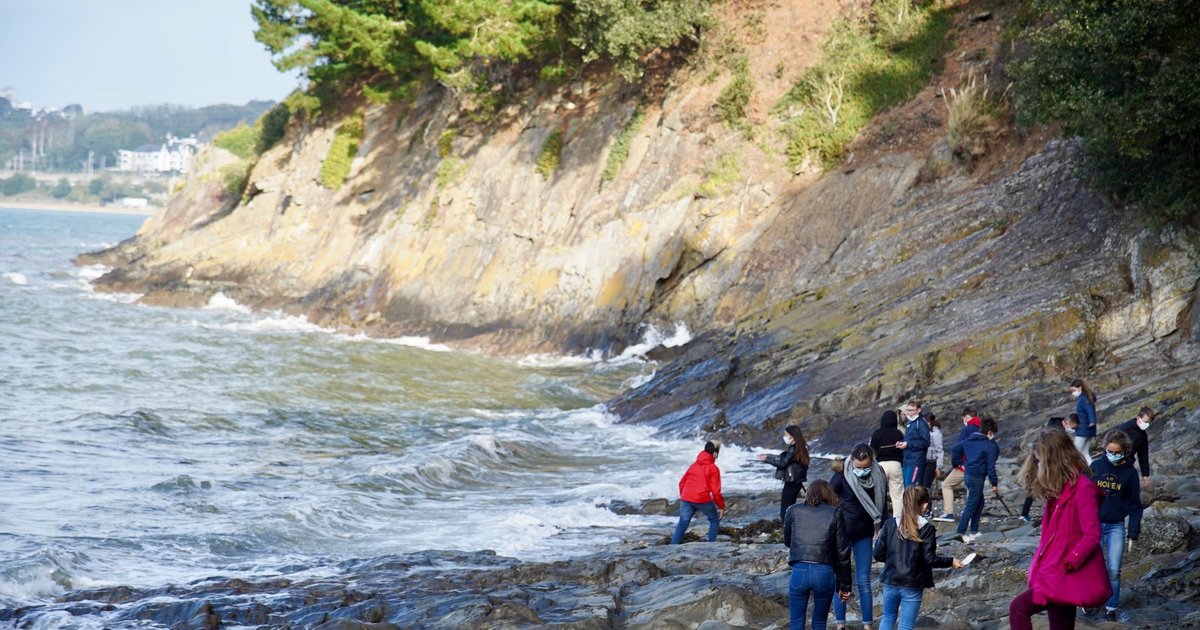 [SABLES ROUGES] - Quatrièmes 2020 - Le Grain